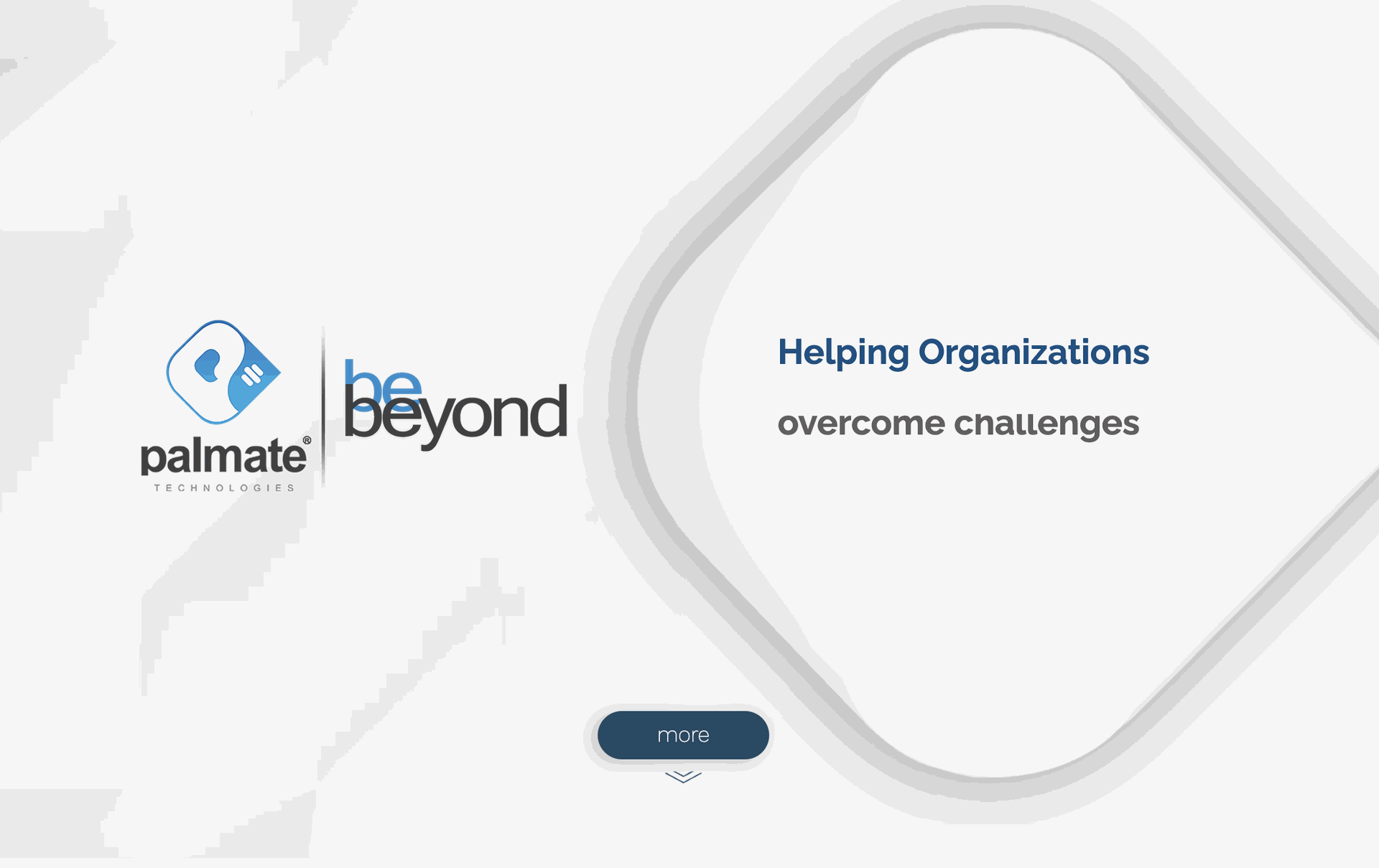 Palmate Technologies | Palmate Technologies